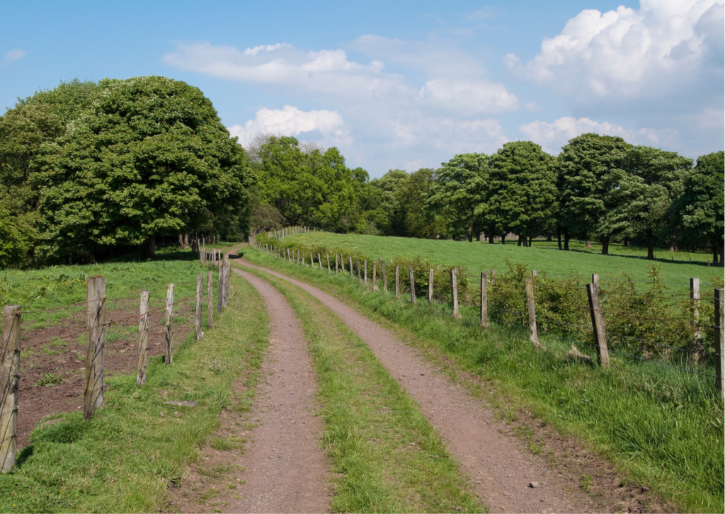 Investment Doubled for Upgrade Work on Non-Public Roads and Laneways in ...