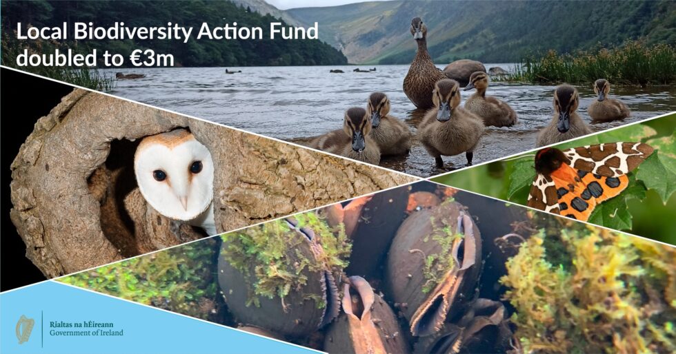 Funding for locally led biodiversity projects doubled to €3m - IFA ...