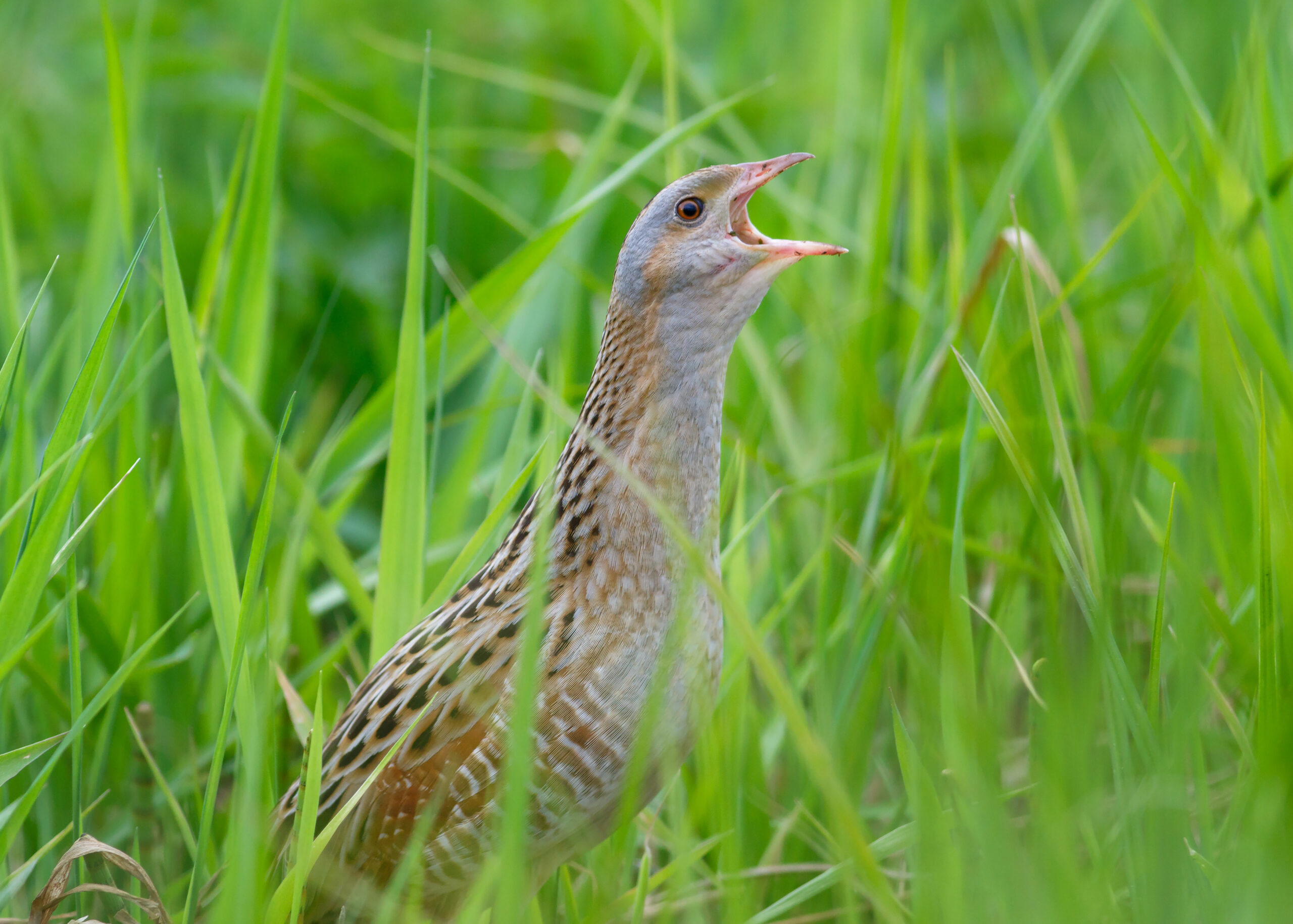 Minister Noonan welcomes survey data showing positive soundings for the ...