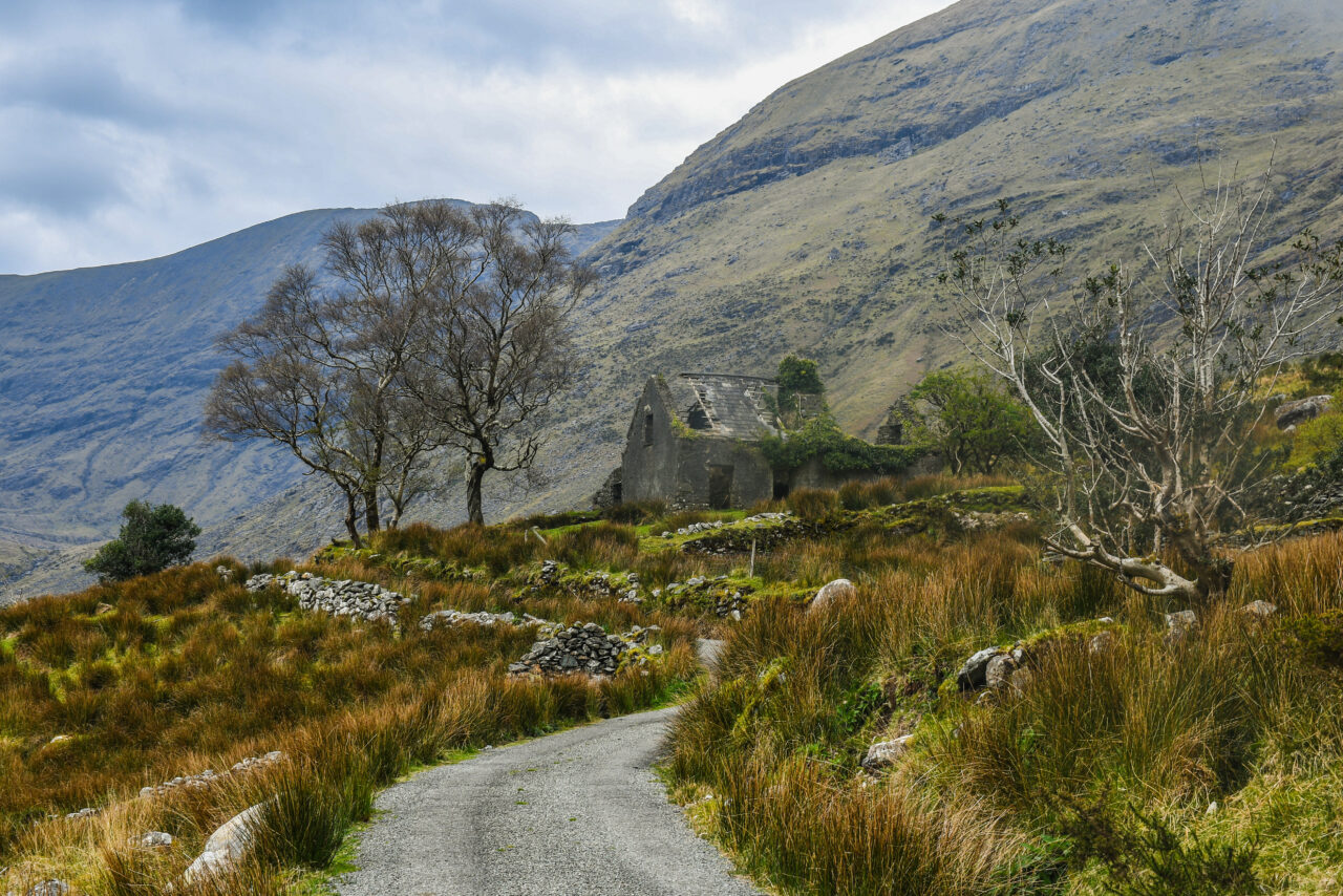 IFA Countryside Photo Competition 2023: view the winning and ...